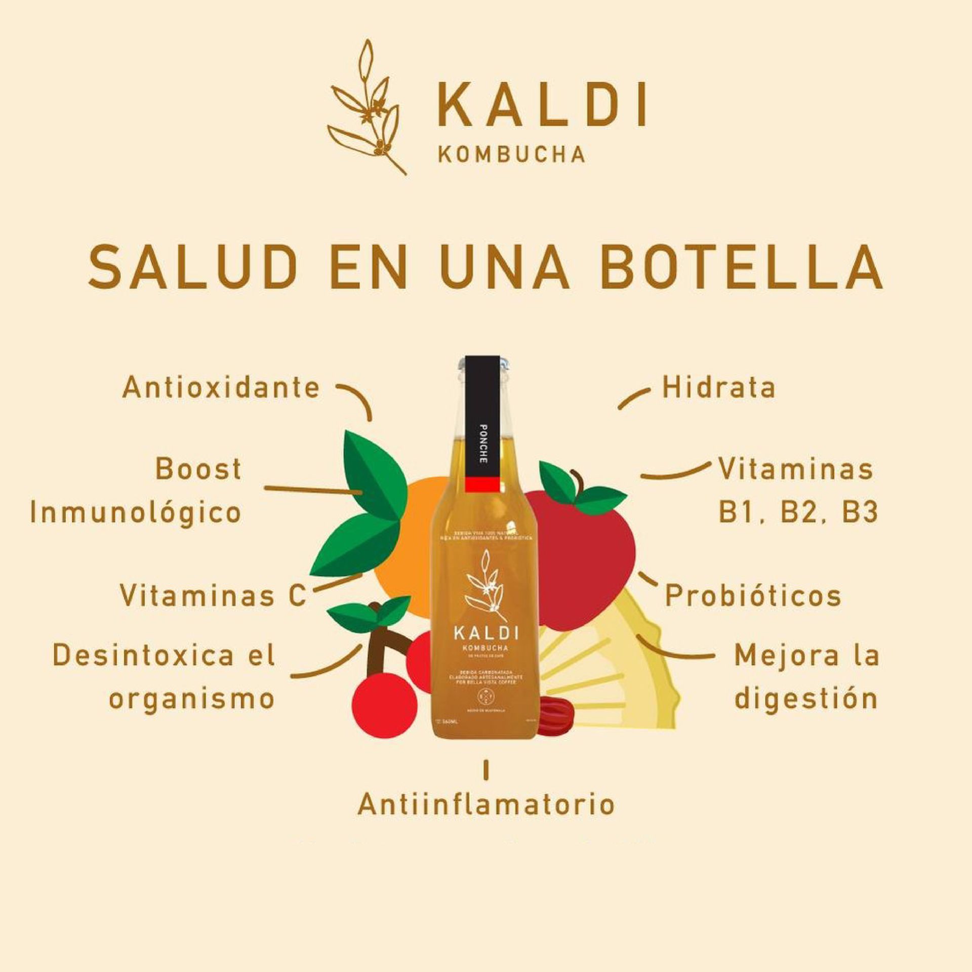 kaldi | Kaldi_Kombucha