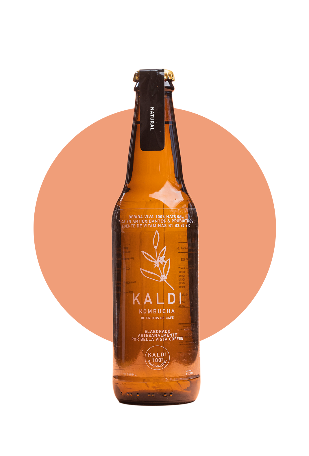 Natural | Kaldi_Kombucha