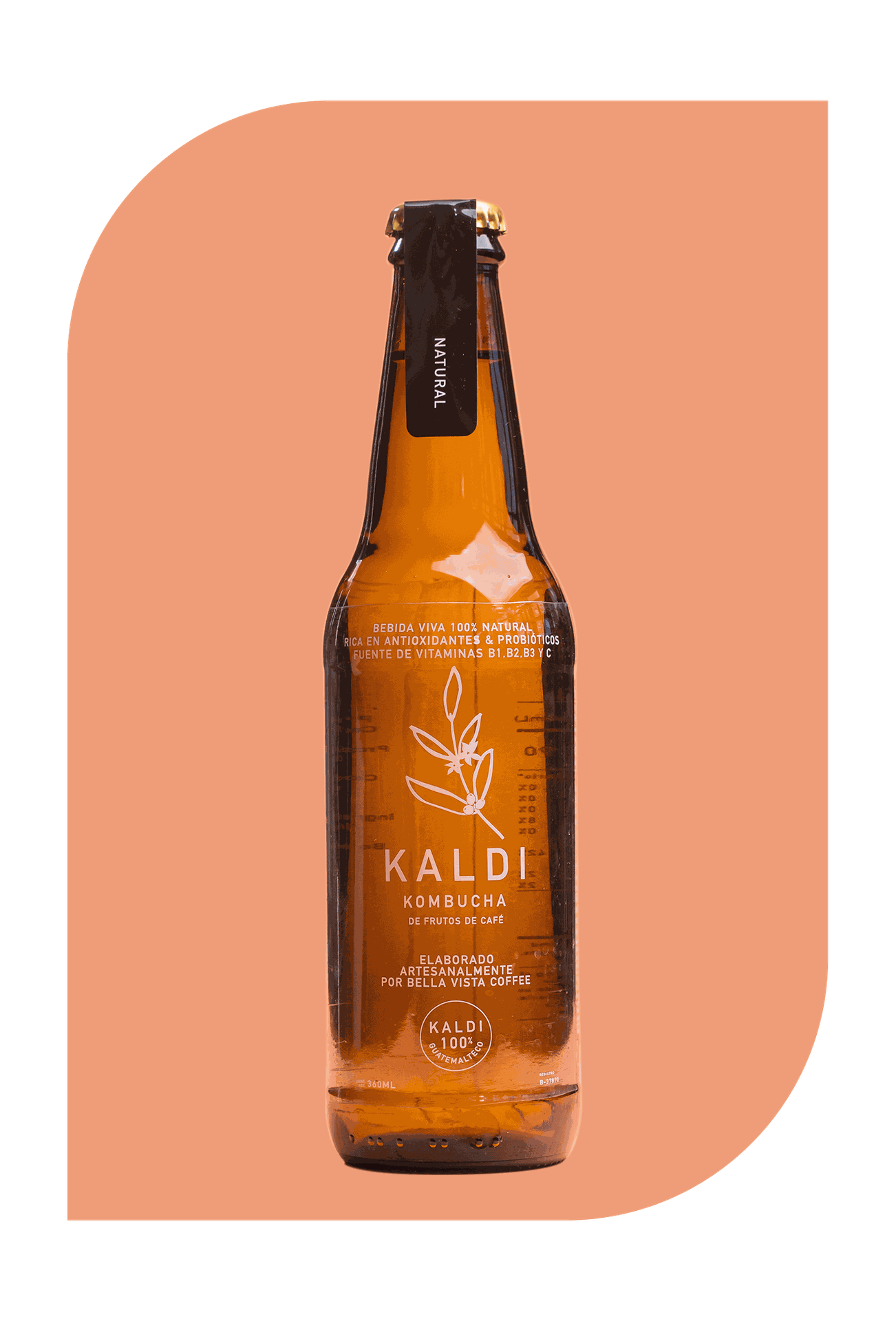 Productos | Kaldi_Kombucha